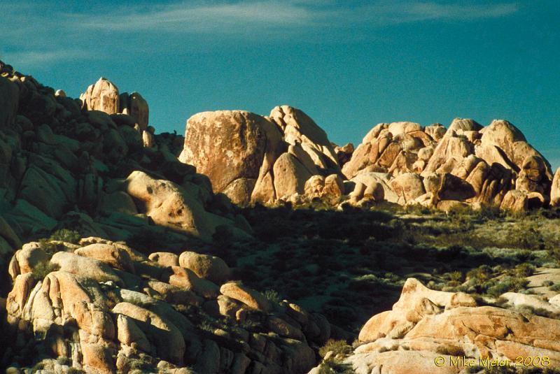 Photos/Joshua Tree National Monument/JTree-1999-188